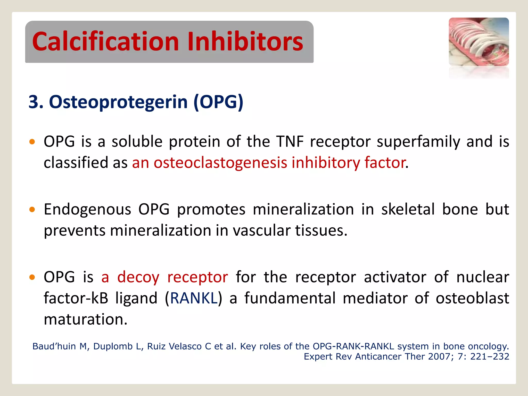 Calcification inhibitors in ckd and dialysis patients | PPTX