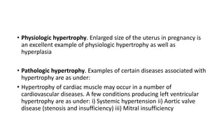 types of Calcifications in pathology.pptx