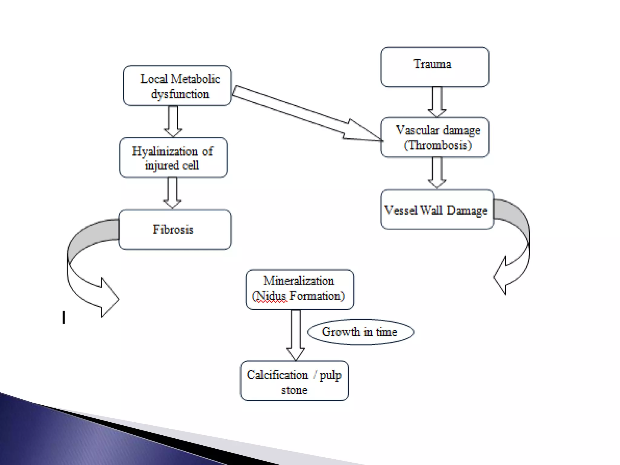 Calcific metamorphosis | PPTX | Dental Health | Diseases and Conditions