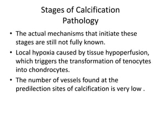 Calcific tendinitis of shoulder | PPTX