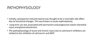 CALCINEURIN INHIBITORS TOXICITY.pptx