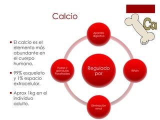 Fatmacologia calcio y hueso | PPTX