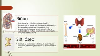Ion calcio y su metabolismo e hipocalcemia.pptx