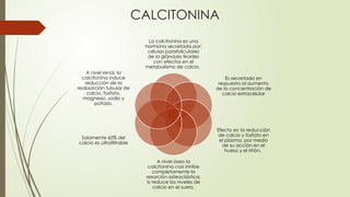 Ion calcio y su metabolismo e hipocalcemia.pptx