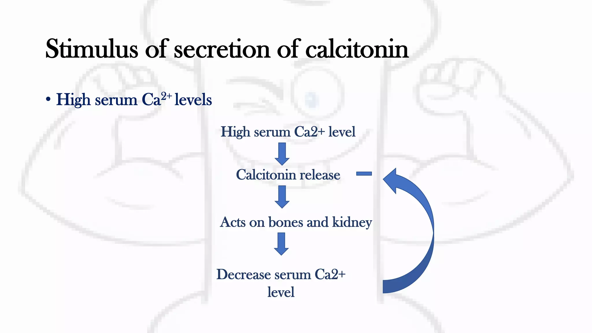 Calcitonin- Physiological actions I Calcium homeostasis 3 I Endocrine ...