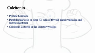 Calcitonin- Physiological actions I Calcium homeostasis 3 I Endocrine ...