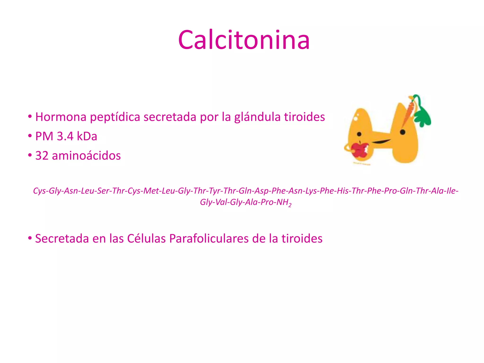 Calcitonina y hormona paratiroidea | PPT