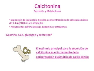 Calcitonina y hormona paratiroidea | PPT