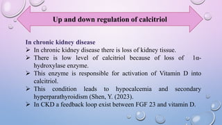 Calcitriol hormone and its up and down regulation | PDF