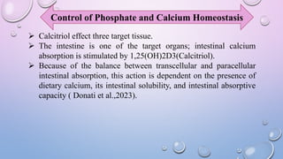 Calcitriol hormone and its up and down regulation | PPT