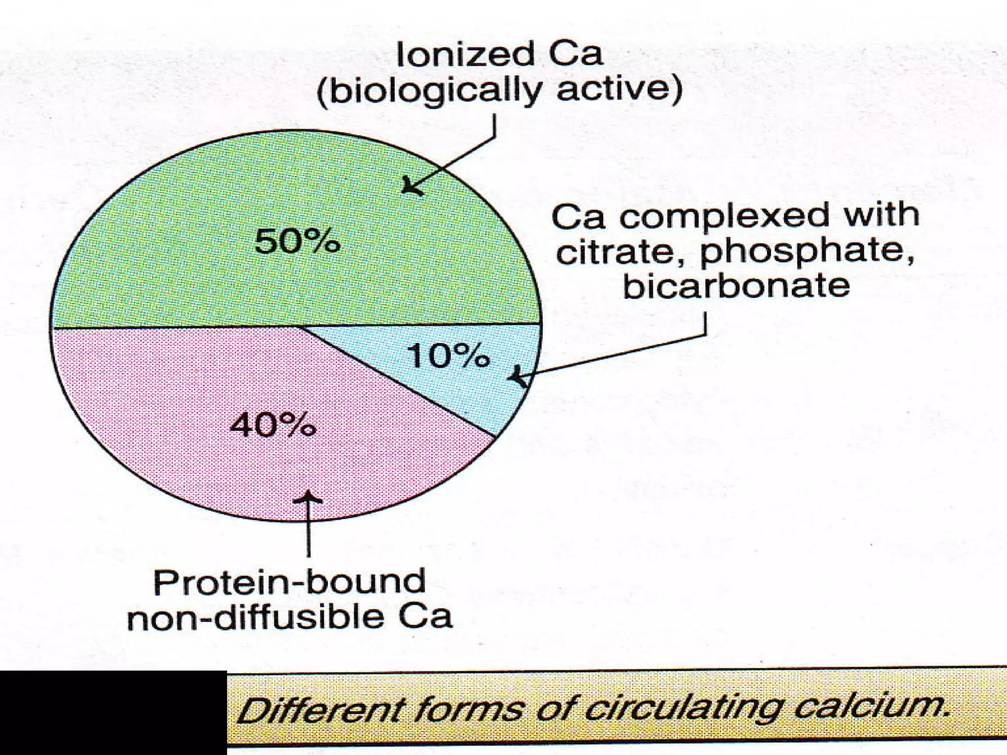 Calcium | PPT