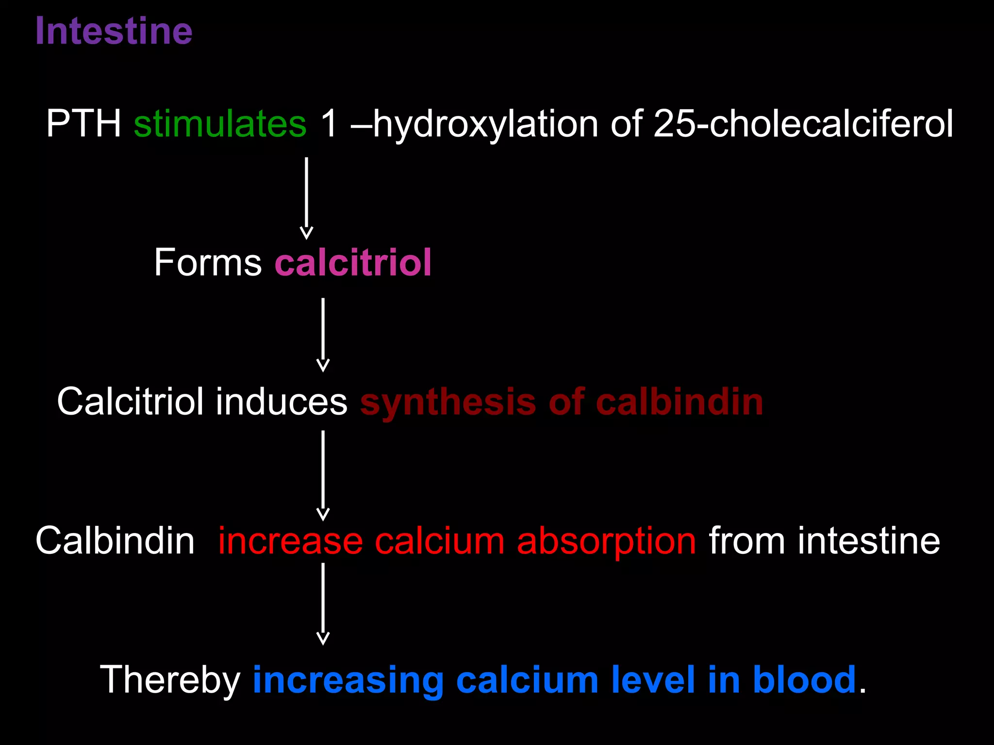 Calcium | PPT
