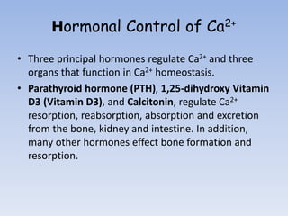 Calcium | PPTX