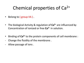 Calcium | PPTX | Bone and Joint Conditions | Diseases and Conditions