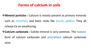 Calcium- secondary nutrient | PPTX