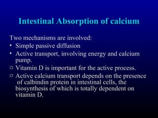 Calcium | PPT