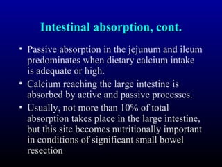 Calcium | PPT