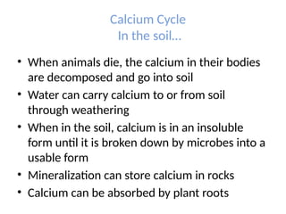 calcium in human body and its nutrient needs | PPTX