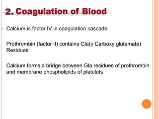Calcium.6487308.powerpoint.pptx