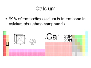 calcium.ppt