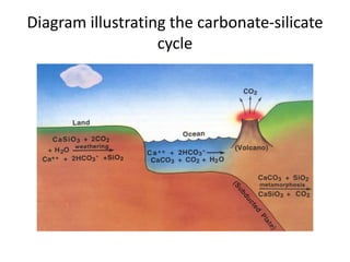 Calcium in soil fertlity and how effected.pptx