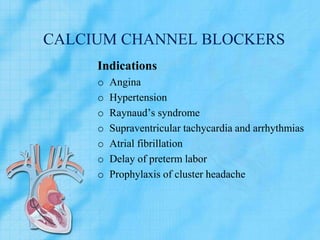 Calcium antagonists.pptx 1 | PPTX