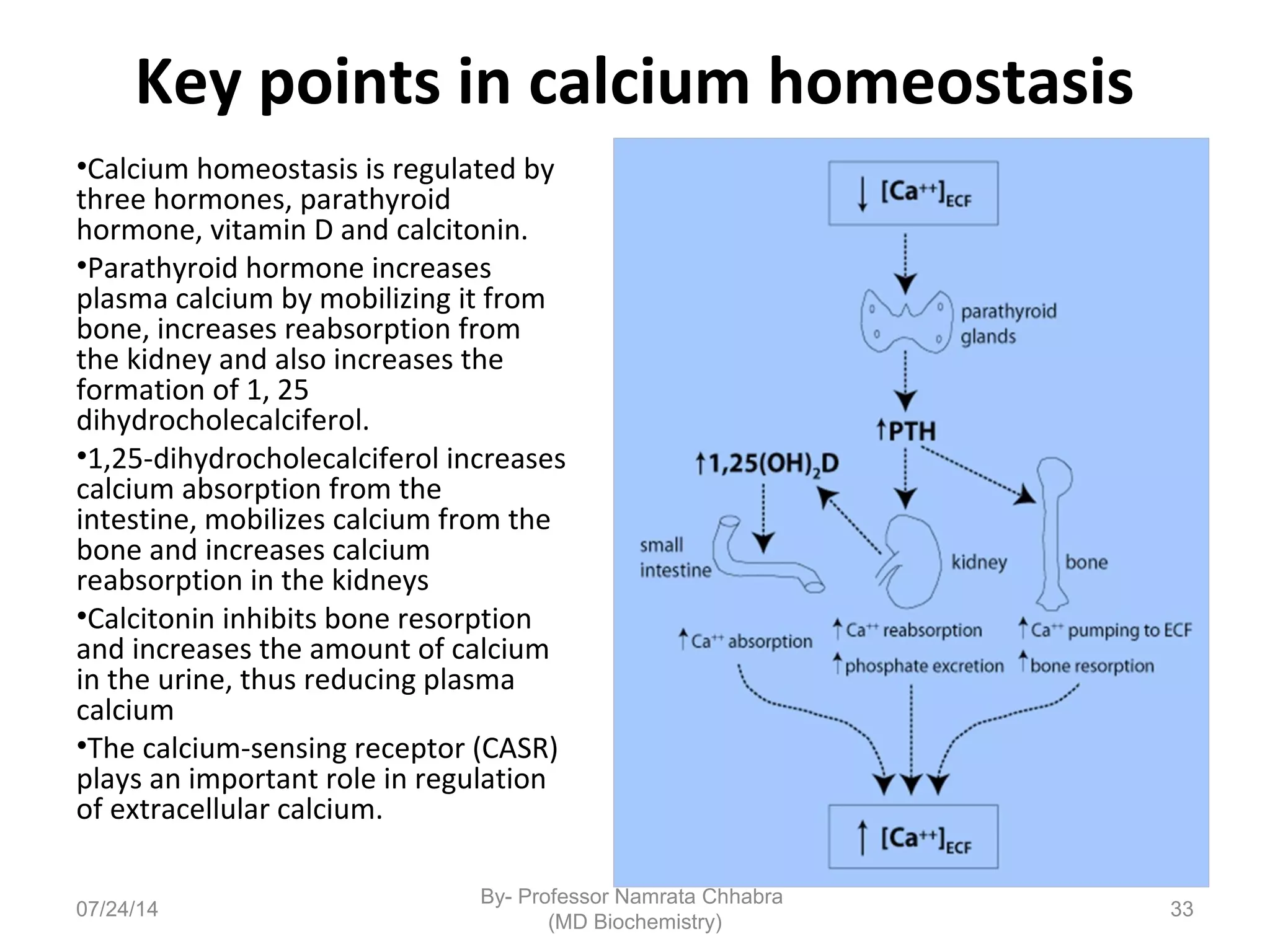 Calcium functions and significance | PPT