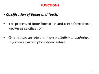 Calcium -minerals and trace elements | PPTX