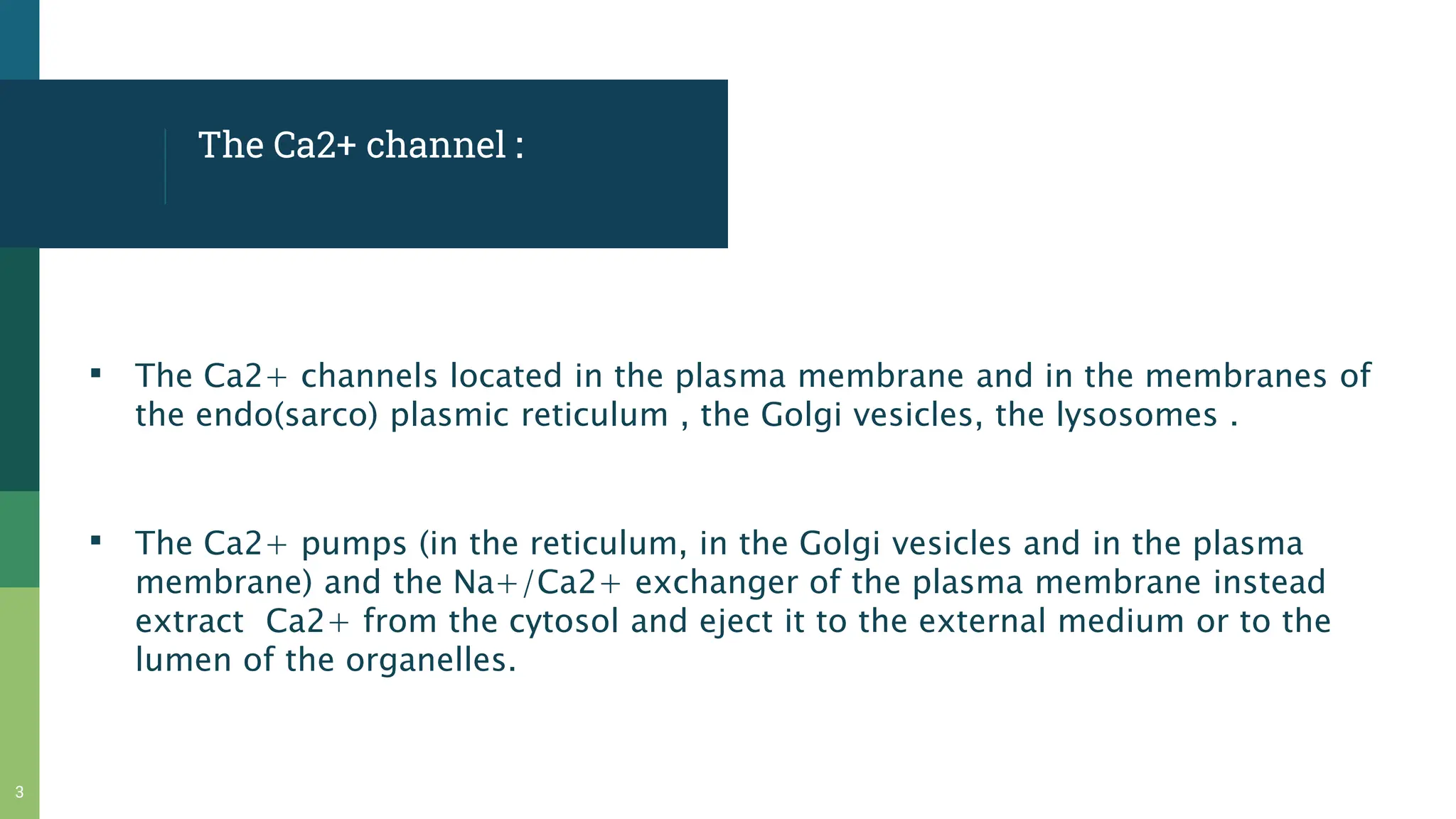 Calcium-pump.pdf