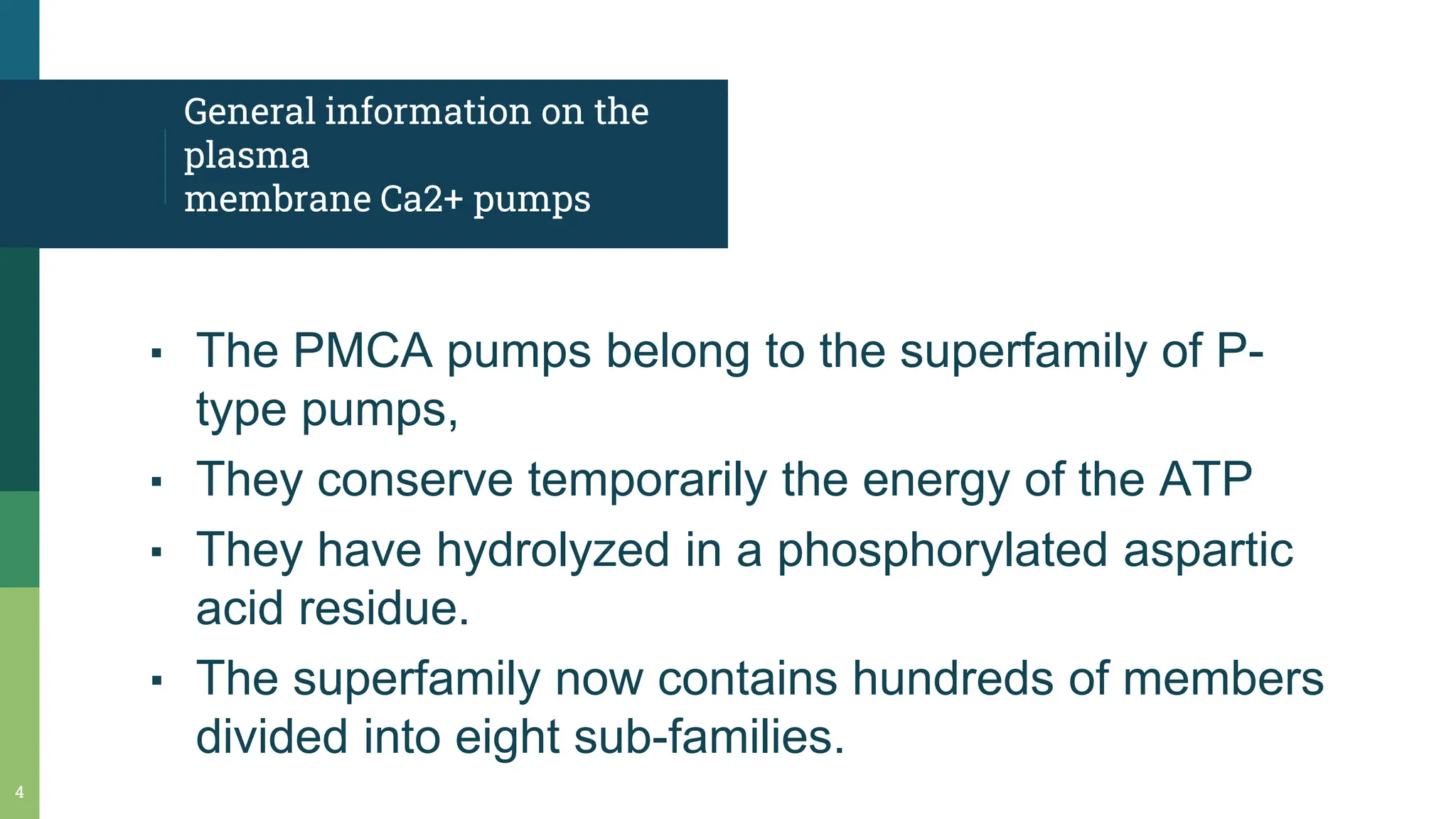 Calcium-pump.pdf