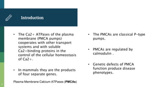 Calcium-pump.pdf
