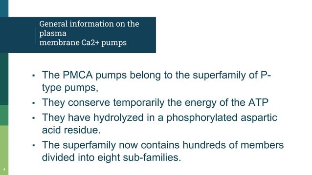 Calcium-pump.pdf