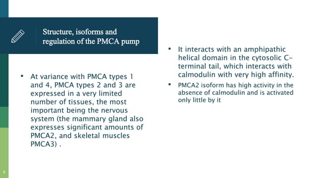 Calcium-pump.pdf