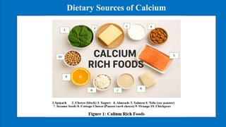 Calcium -Sources, Physiological Function, Requirements, and Deficiency.pptx