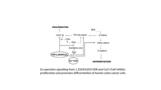 Calcium and gynecological oncology cancer.pptx