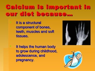 Calcium and copper | PPT
