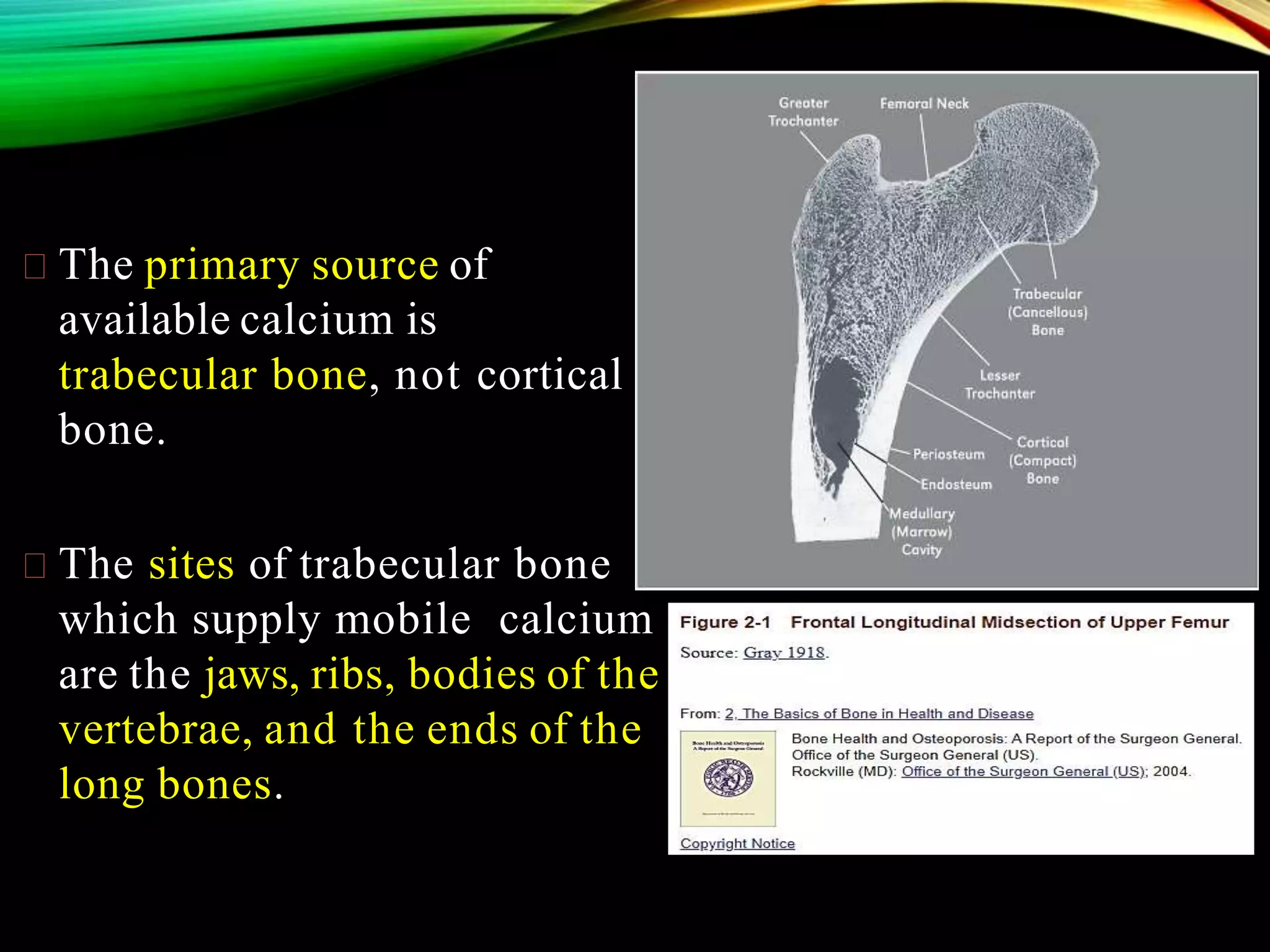 Calcium and its metabolism.pptx