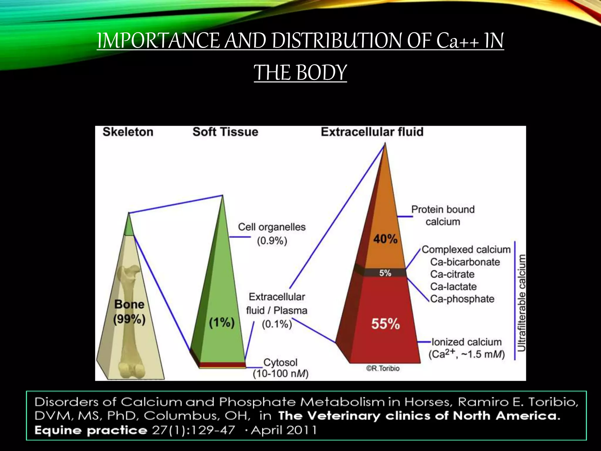 Calcium and its metabolism.pptx