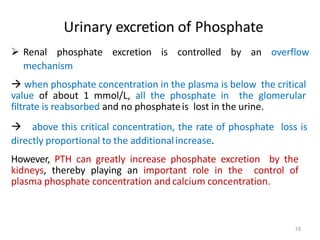 CALCIUM AND PHOSPHATE METABOLISM.pptx