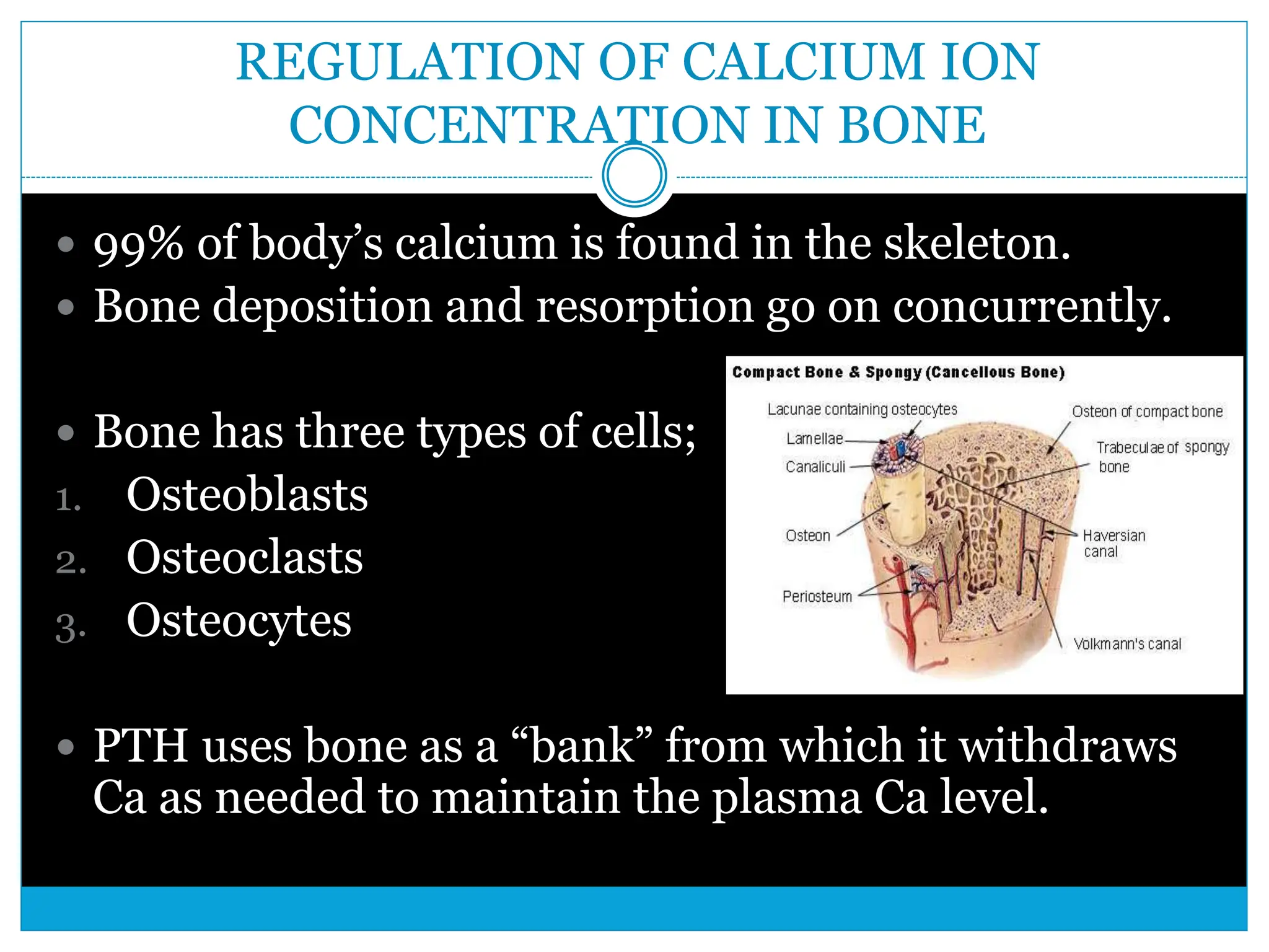 Calcium and phosphate metabolism in the body.pptx