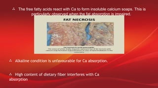 calcium and phosphate metabolism power point presentation | PPTX