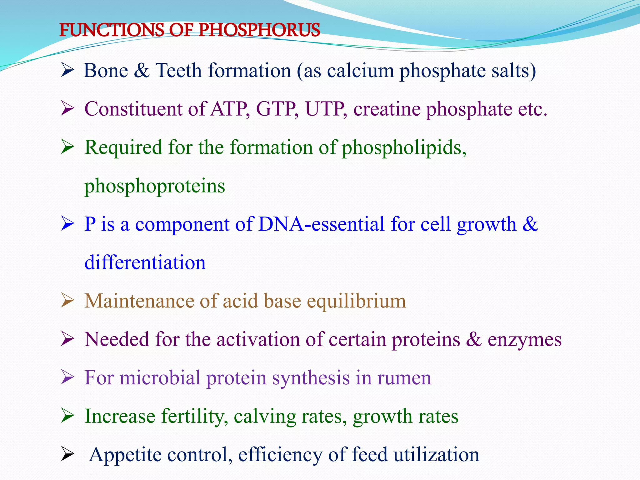 Calcium and phosphorus metabolism | PPTX