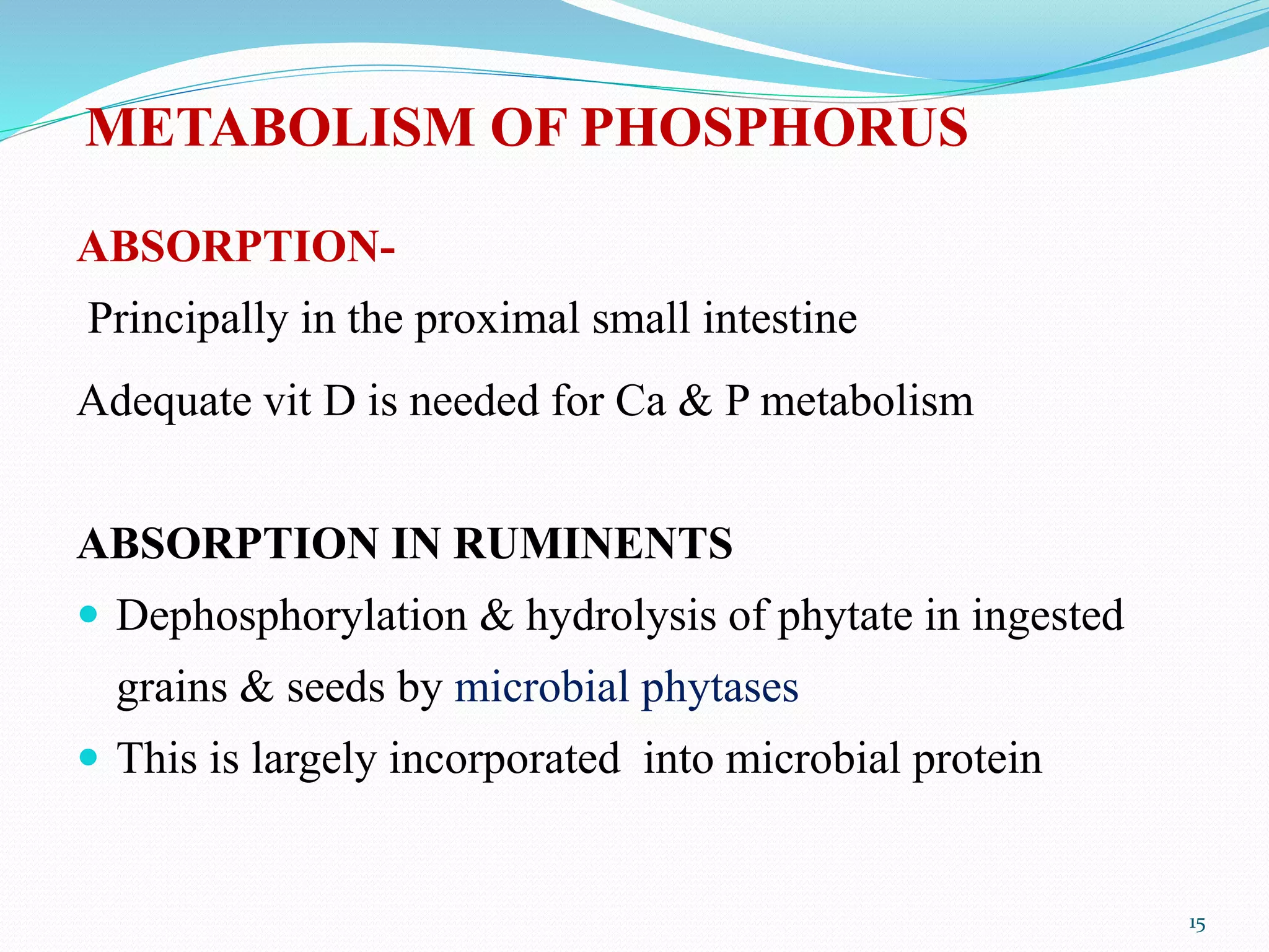 Calcium and phosphorus metabolism | PPTX