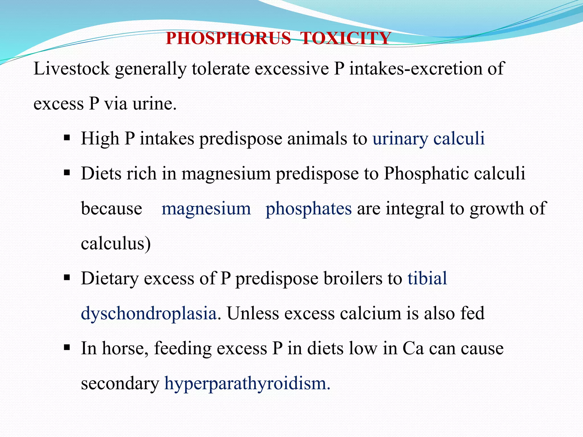 Calcium and phosphorus metabolism | PPTX