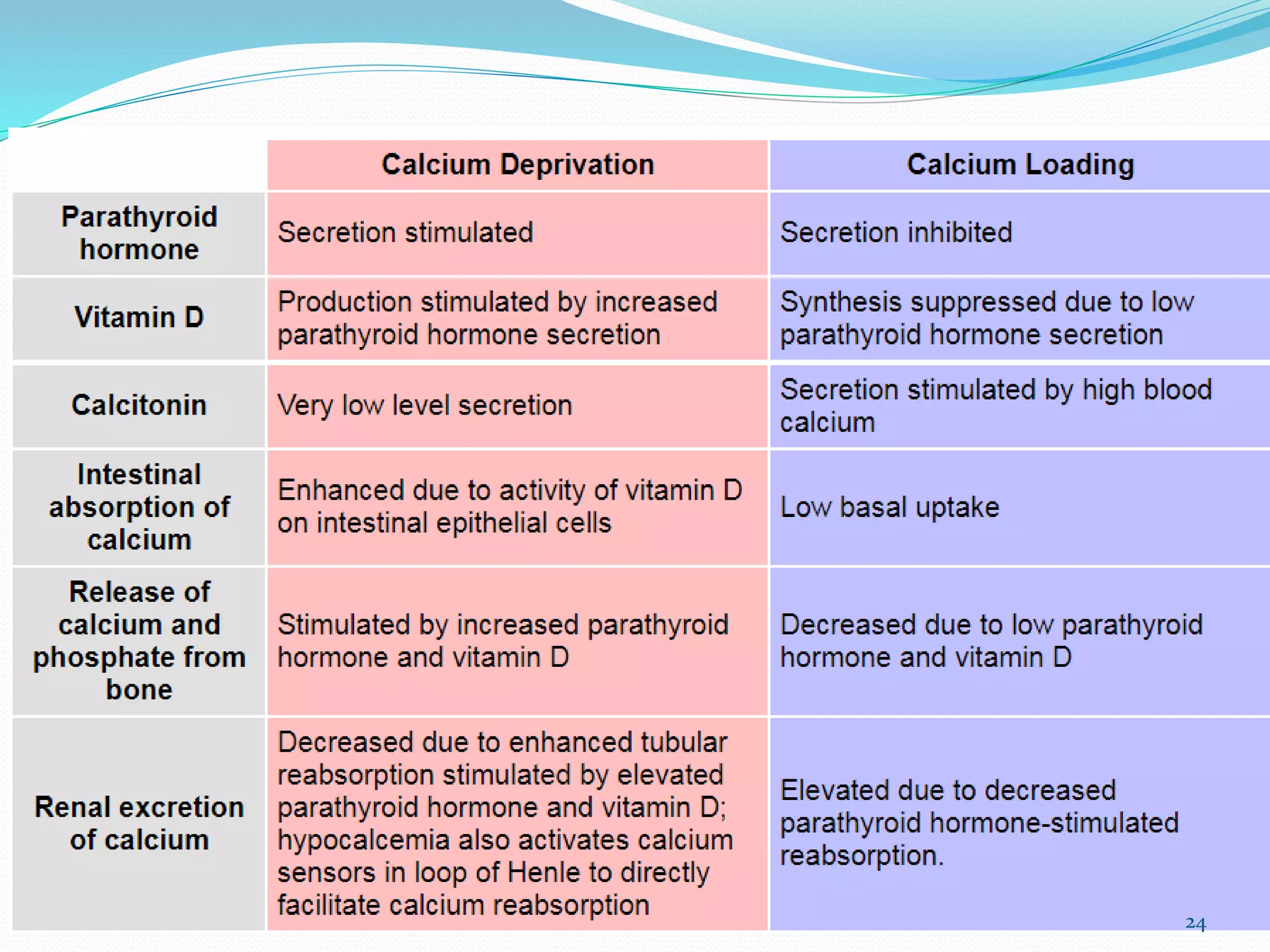 Calcium and phosphorus metabolism | PPTX