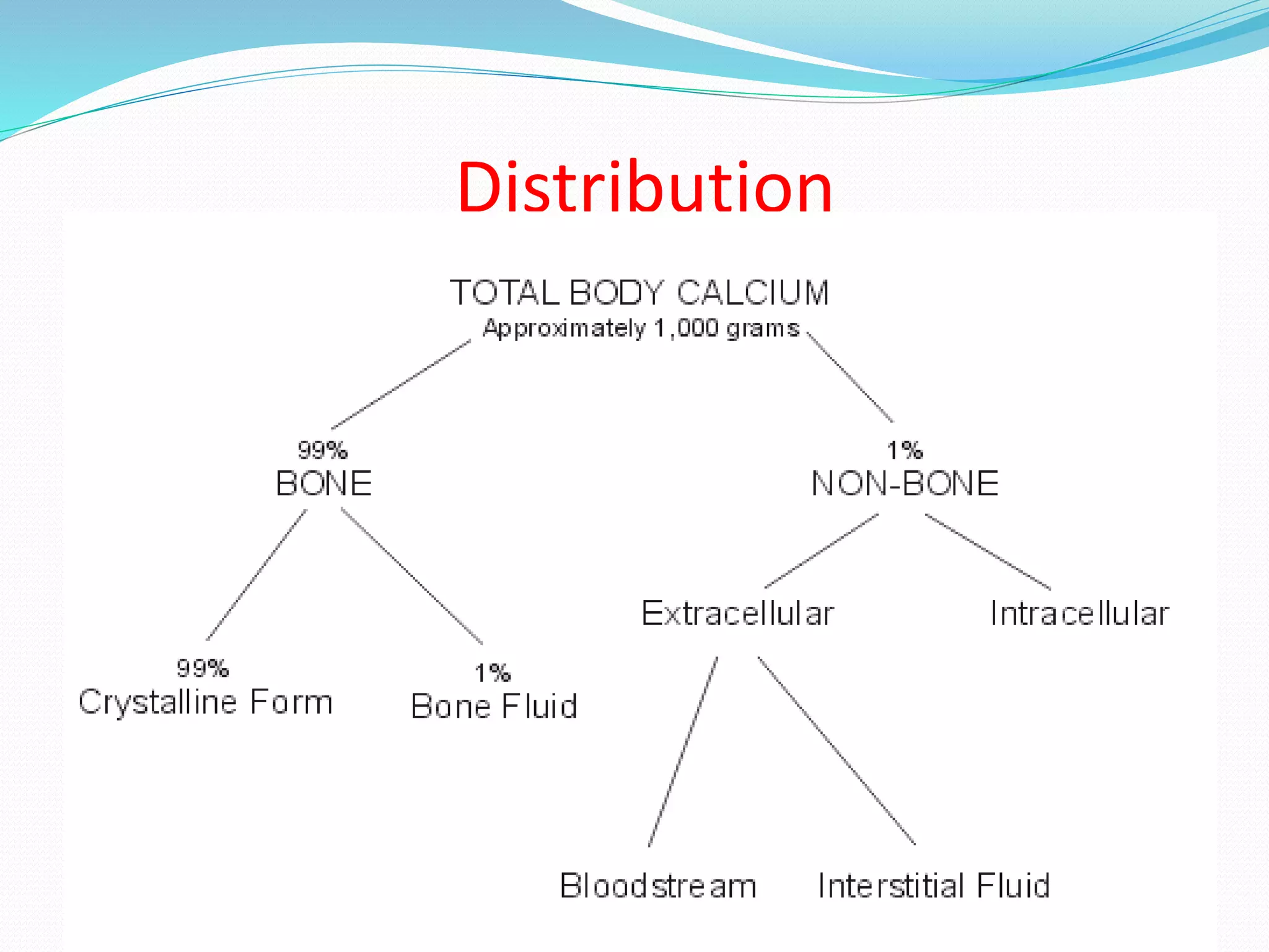 Calcium and phosphorus metabolism | PPTX