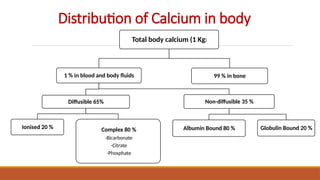 Calcium and Vitamin D Metabolism Slide.pptx