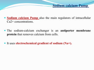 Calcium atpase pumps | PPTX | Biological Sciences | Science