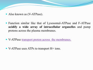 Calcium atpase pumps | PPTX