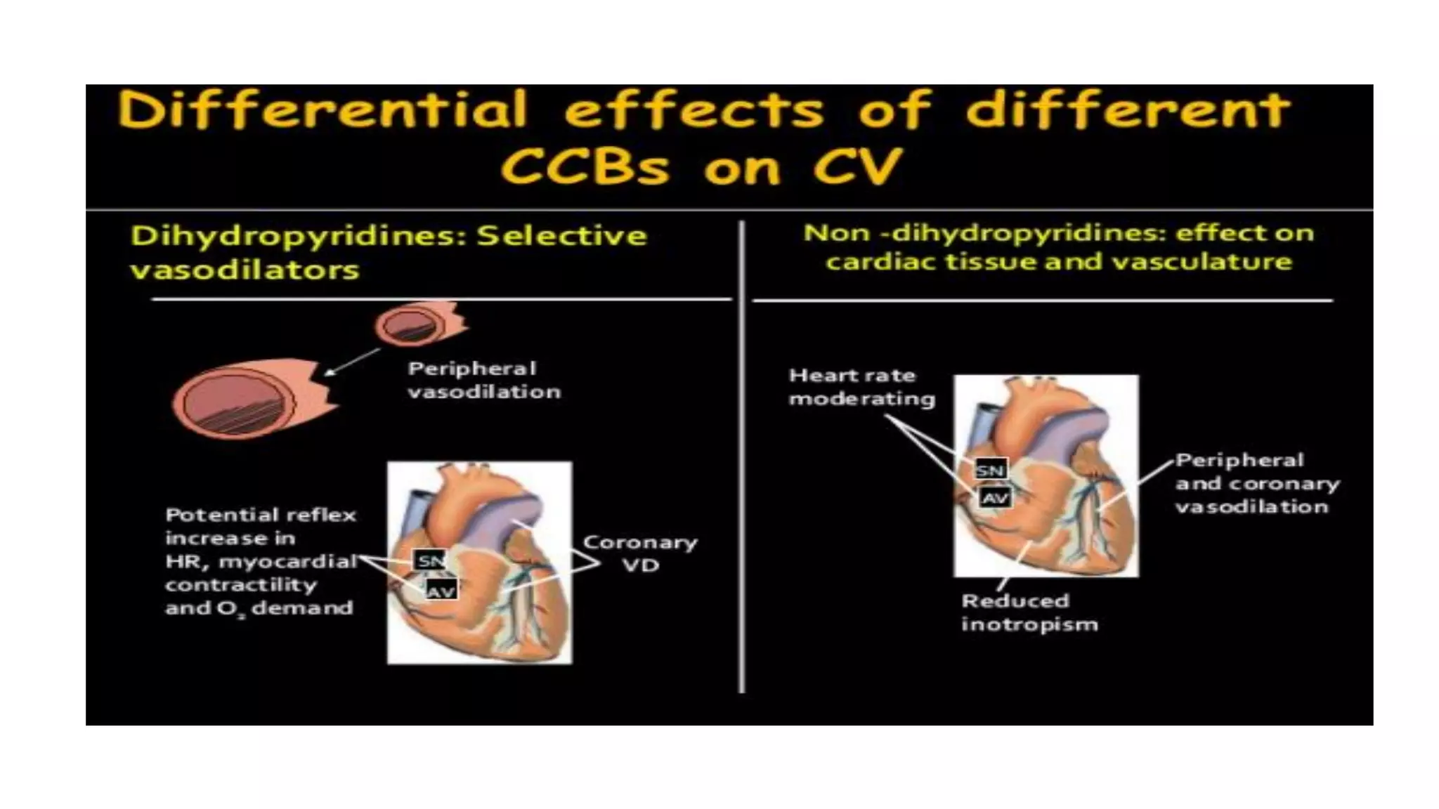calciumchannelblocker-amlodipine-210612134959.pdf